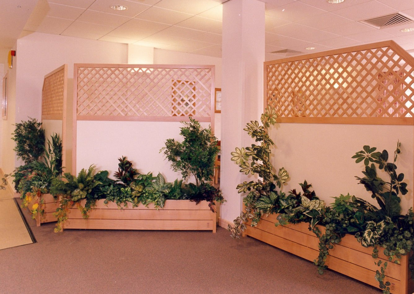 Trellis Screens – Screen Plus